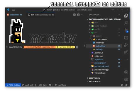 Configuración Para Vscode Linux En Español