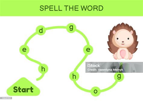 아이들을위한 미로 맞춤법 단어 게임 템플릿 고슴도치 단어 인쇄 워크 시트를 읽는 법을 배웁니다 영어 공부를 위한 액티비티 페이지 어린이 발달을 위한 교육 활동 벡터