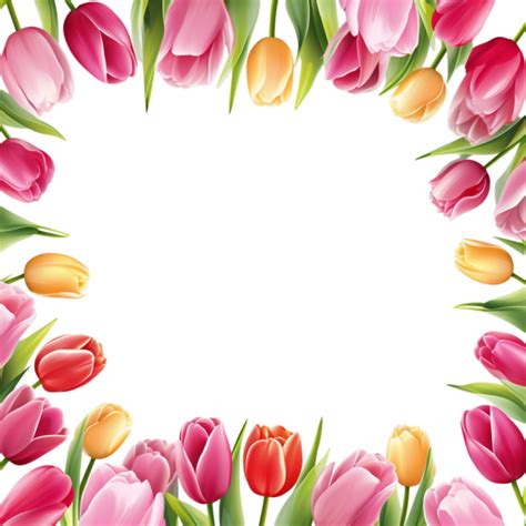 Tulip Border Pngs For Free Download