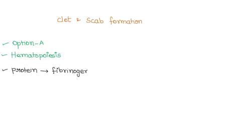 Solved Question 7 0 1 Pts Clot And Scab Formation Occur As Part Of This Process