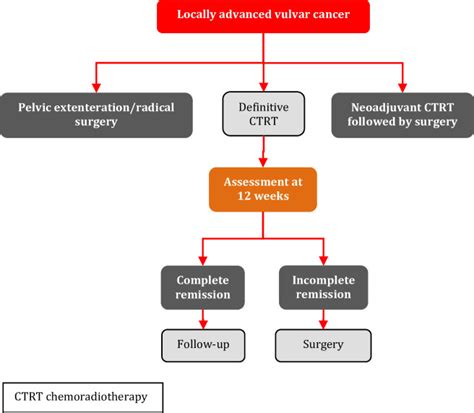 European Society Of Gynaecological Oncology Guidelines For The Management Of Patients With