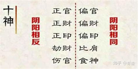 十神八字命理基础知识一 知乎