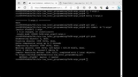 0x0a C Argc Argv 100 Complete Youtube