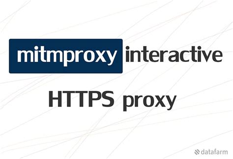 Mitmproxy คืออะไร Datafarm Blog บทความด้าน Cybersecurity โดยทีมงาน