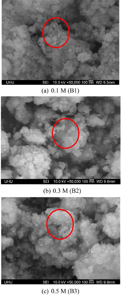 SEM Pictures For Series B 0C At Different Cobalt Concentrations A Download Scientific
