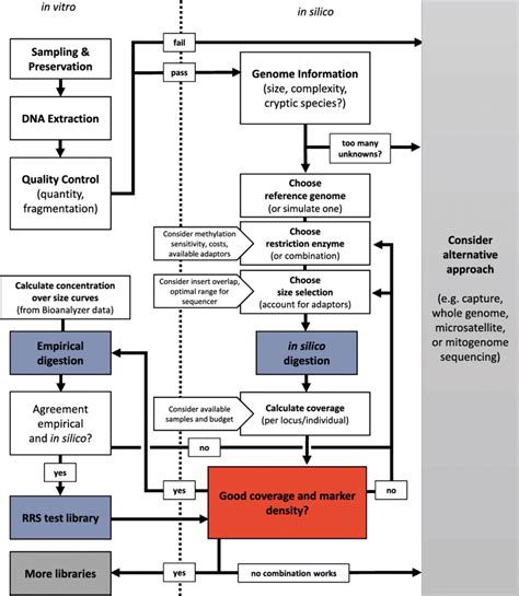 The Iterative Process Of Reduced Representation Sequencing Rrs