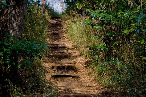 不気味な山道の階段の写真素材 ぱくたそ