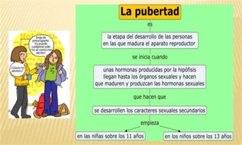 Tomidigital La Pubertad Grado 5°