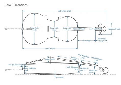 Cello Dimensions Diagram Violin Cello Size Guide Cello Template