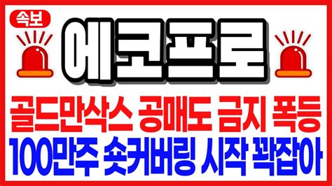 긴급속보 🚨 에코프로비엠비엠 골드만삭스 공매도 금지에 폭등 100만주 숏커버링 이제 시작입니다 선대인tv 밧데리아저씨 서정덕tv Youtube