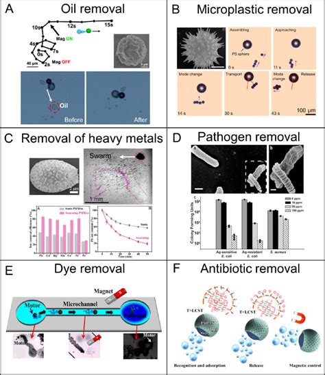 Magnetically Driven Micro And Nanorobots Pmc