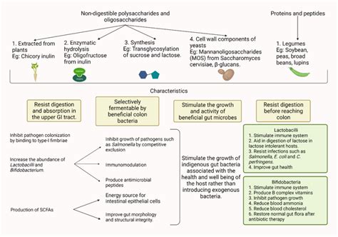 Figure 4 From Gastrointestinal Microbiota And Their Manipulation For Improved Growth And