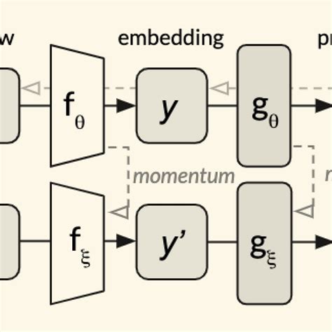 Deep Learning Understanding Self Supervised And Contrastive Learning