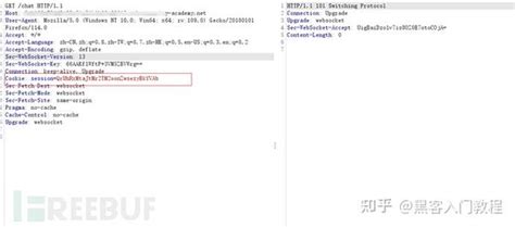 Websocket安全性分析 知乎