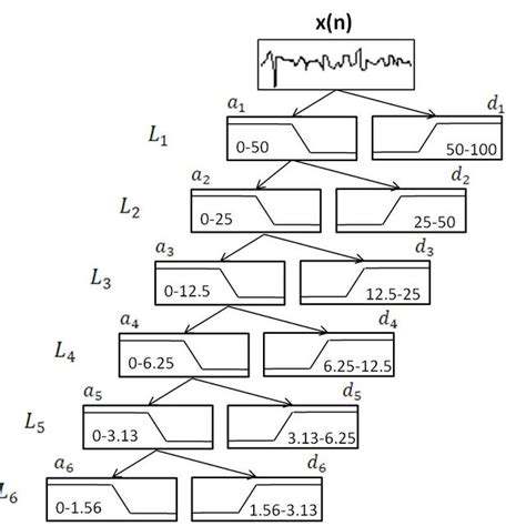 wavelet decomposition of the eeg signal x n sampled at 200 hz into 6 download scientific