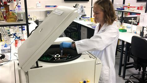 Basement Membrane Matrix Encapsulated Cell Aggregation For Investigating Murine Spleen Tissue