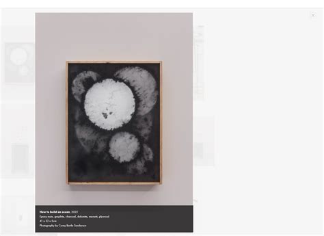 Css Or Similar To Add Captions To Popped Images From Lightbox Customize With Code