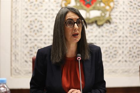 الحكومة دعم استيراد الأبقار والأغنام يكبد الدولة خسارة تفوق 19 مليار