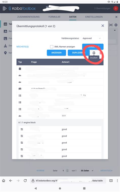 Print Data Data Management Kobotoolbox Community Forum