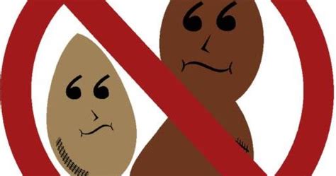 Sew Not My Day The Nutty Block