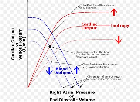 Frankstarling Law Venous Return Curve Heart Ailment Loi De Frank
