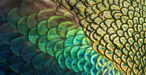 Prehistoric Natural History Museum