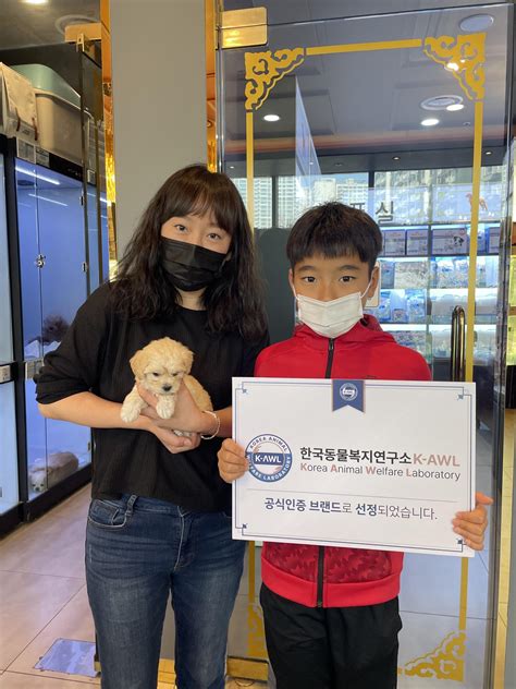 말티푸분양 후기 강아지분양 애견분양 도그마루