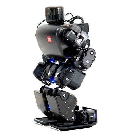 RoboBuilder 5720T Black Humanoid Robot Botland Robotic Shop