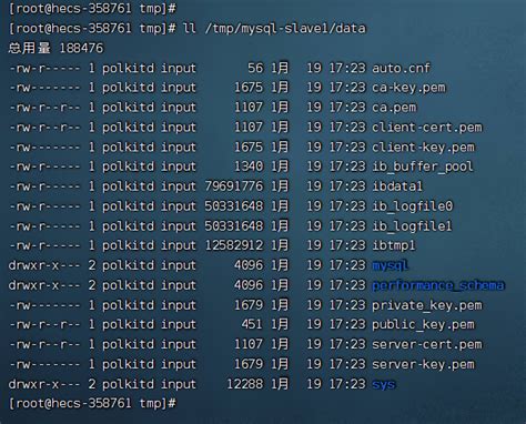 云服务器docker搭建mysql一主一从自动复制【reggietakeout】 Csdn博客