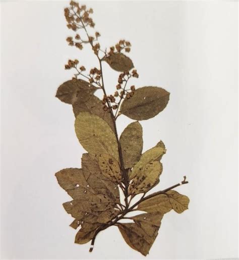 경과원 국립생물자원관 공동연구 통해 해외 우수소재 확보 수원화성신문 수원·화성 대표 지역신문