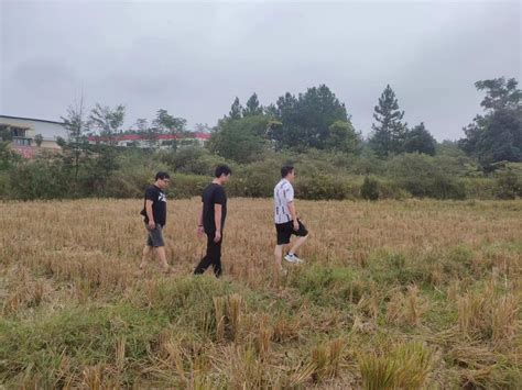 新田开展中秋国庆期间环境安全隐患大排查大整治 知乎
