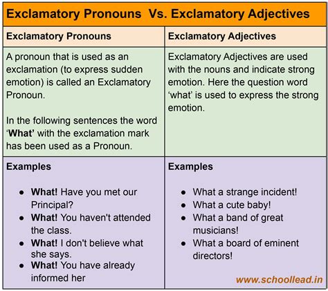 Exclamatory Pronouns School Lead