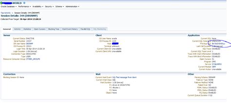 Sql Worksheet From Within Cloud Control Wrong Results Bug