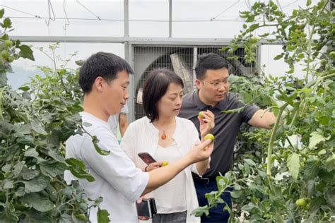 关注时尚产业、聚焦乡村产业直击审计一线审计署网站