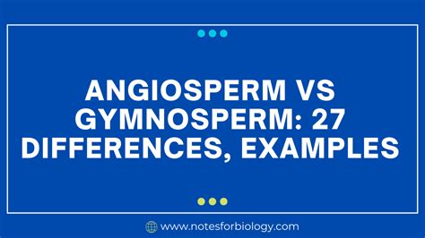Angiosperm Vs Gymnosperm