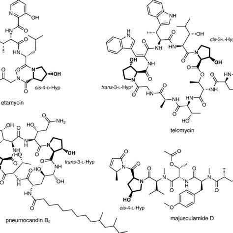 Hydroxylation Of Prolyl Residues To 4 Hydroxyproline E Jespord 2005 Download Scientific Diagram