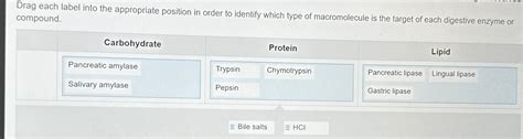 solved drag each label into the appropriate position in