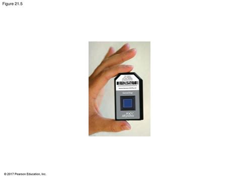 2017 Pearson Education Inc Ppt Download