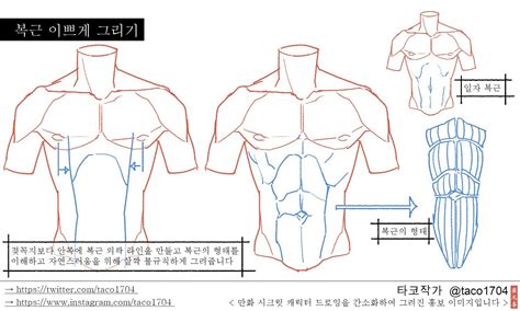 타코작가 On Twitter Body Reference Drawing Anatomy Drawing Human Anatomy Drawing
