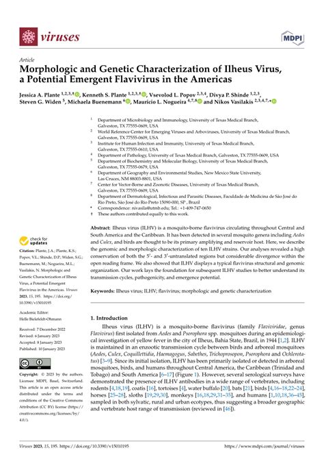 Pdf Morphologic And Genetic Characterization Of Ilheus Virus A Potential Emergent Flavivirus