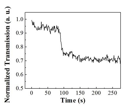 A Time Scanning Of Normalized Transmission From Strip Waveguide In