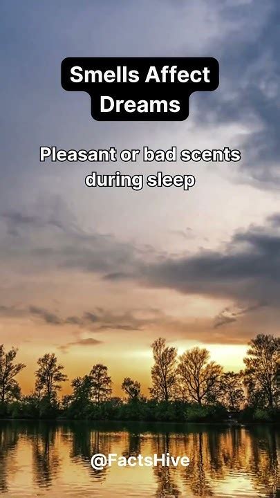 Pleasant Or Bad Scents During Sleep Can Shape Your Dreams Mood Subscribe Factshorts