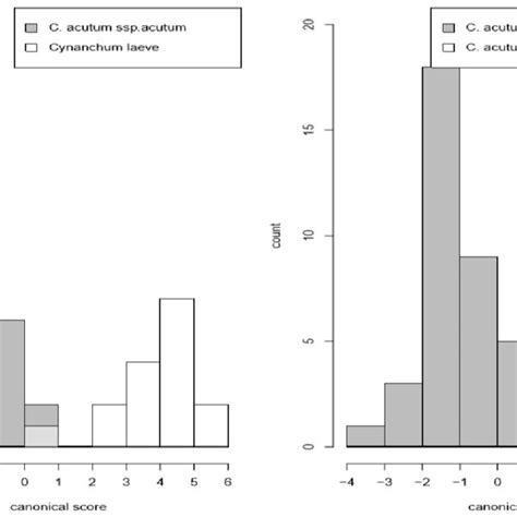 Discriminant Analysis In Left Histogram For C Acutum Subsp Acutum