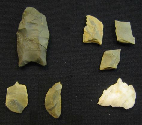 Artifact Identification Day The Institute For American Indian Studies