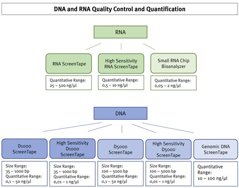 Dna And Rna Quality Control And Quantification
