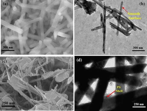 FE SEM B TEM Images Of And MWNRs And C FE SEM D TEM Images Of CSNRs Download Scientific Diagram