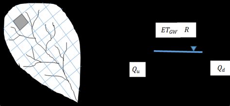 Schematic View Of Computational Grids In A Catchment And Corresponding Download Scientific