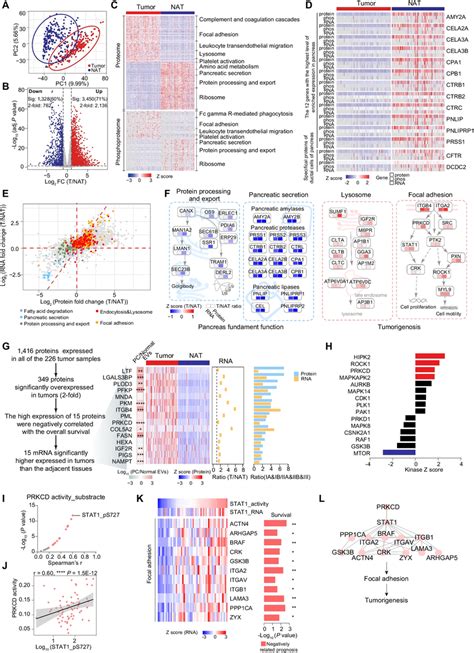 Integrated Multi Omics Features In Tumor Tissues Compared With Nats Of Download Scientific