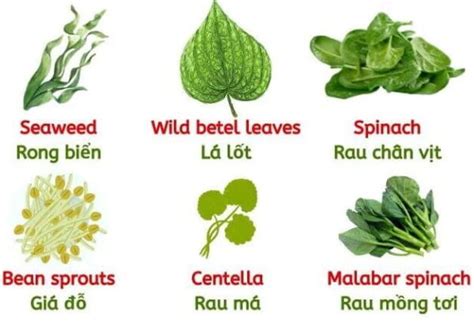 Các Loại Rau Trong Tiếng Anh Là Gì Phương Thảo Garden Ươm Mầm Xanh