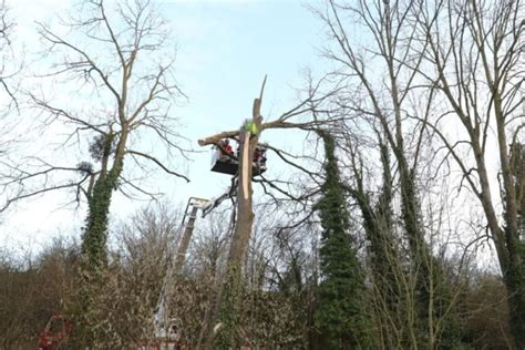 un homme coincé sur un arbre à 12 mètres de haut grièvement blessé dans l oise